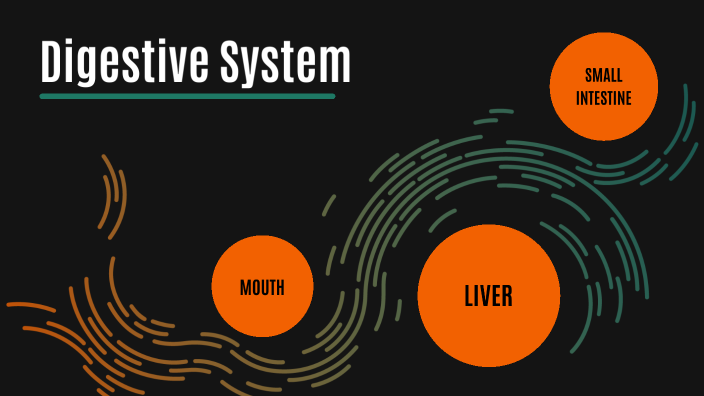 digestive system of human body by Kinsley Roberts on Prezi