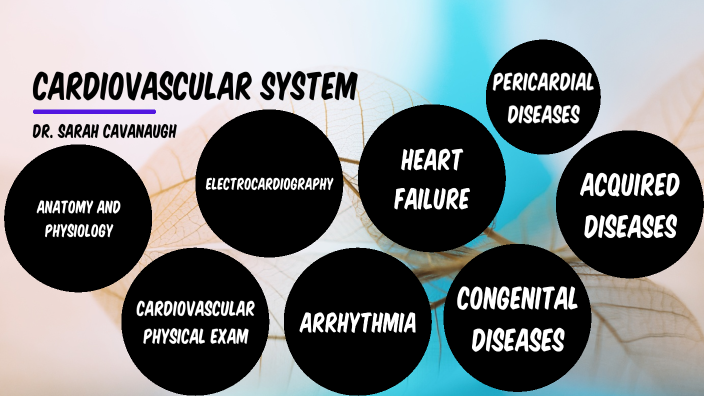 SAM 1 - Cardiovascular by Arianna Watson on Prezi