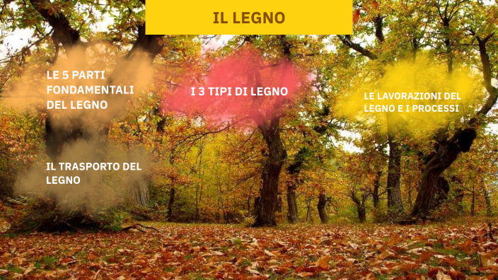 IL LEGNO by Fiamma catalucci on Prezi