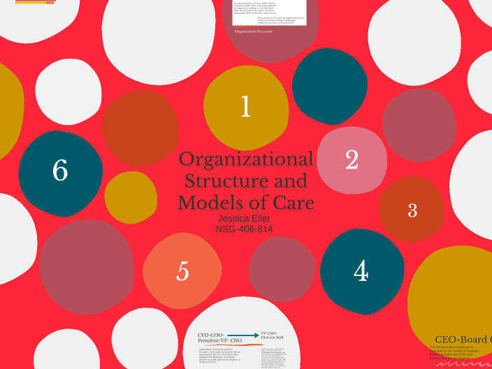 Organizational Structure and Models of Care by Jessica Eller on Prezi
