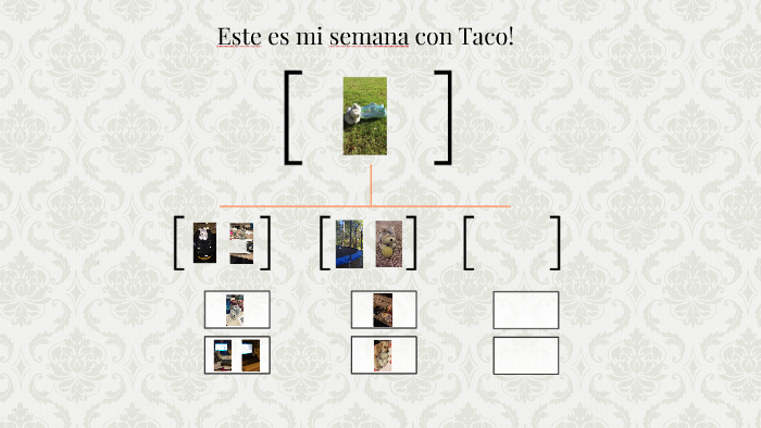 Mi semana con Taco by Lea Yorke on Prezi