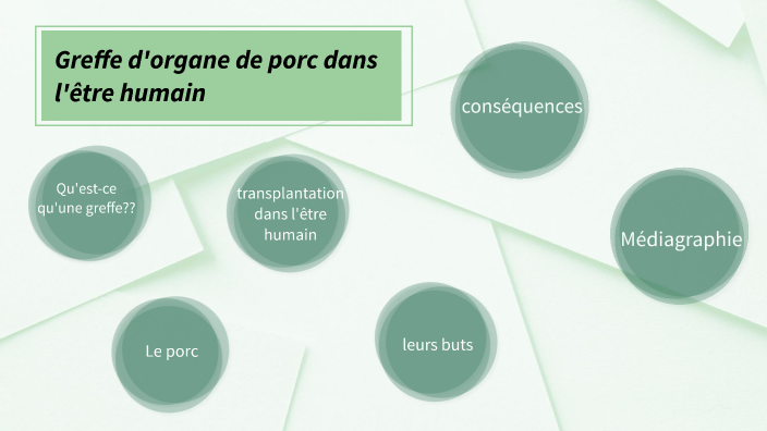 La greffe d'organe de porc dans l'être humain by Evelyne Lamontagne on ...