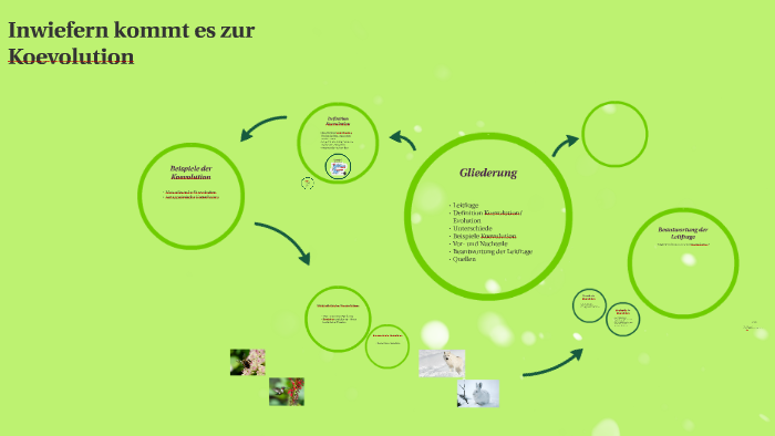 Koevolution by Lea Fszck on Prezi