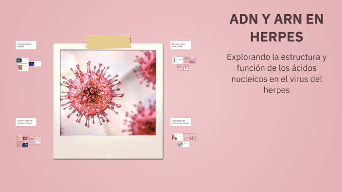 ADN Y ARN EN HERPES by anderson suyo on Prezi