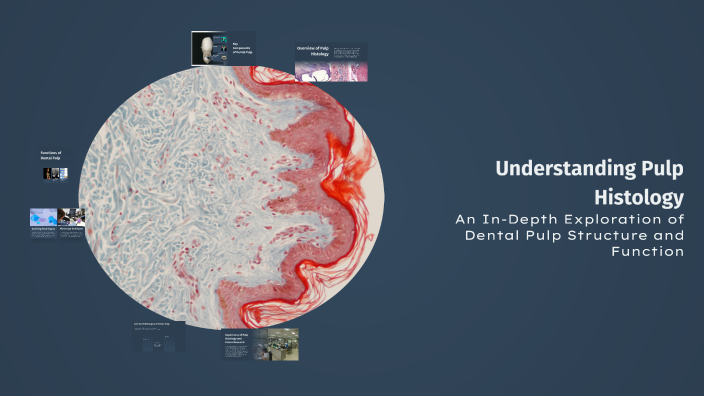 Understanding Pulp Histology by Ramesh Krishnan on Prezi