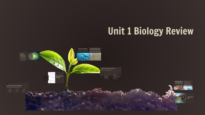 Unit 1 Biology Review by J M on Prezi