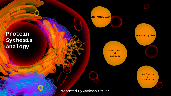 Protein Synthesis Analogy by Jackson Seth Staker on Prezi