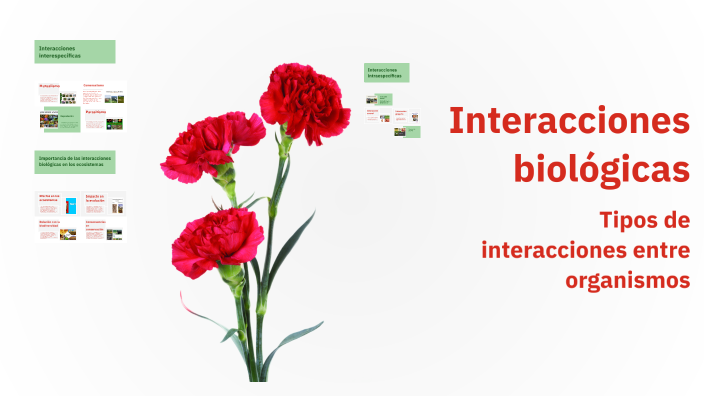 Interacciones biológicas by Alejandra Barrios on Prezi