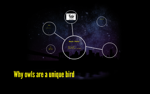 Informative speech about owls by Dylan Haddock on Prezi