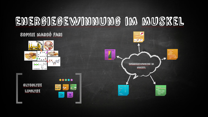 Energiegewinnung im Muskel by Sophie Marcó Fari on Prezi