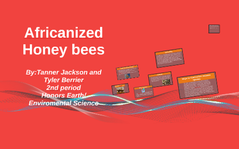 Africanized Honey bees by Tanner Jackson on Prezi