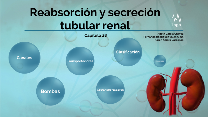 Reabsorcion y secrecion tubular renal by FERNANDA RODRIGUEZ VALENZUELA ...