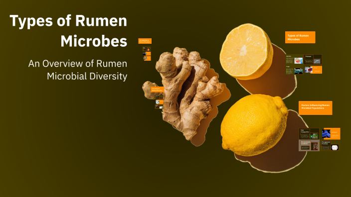 Types of Rumen Microbes by Merci WAANI on Prezi
