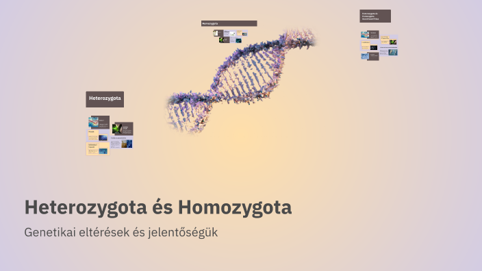 Heterozygota és Homozygota by Bence Soberon on Prezi