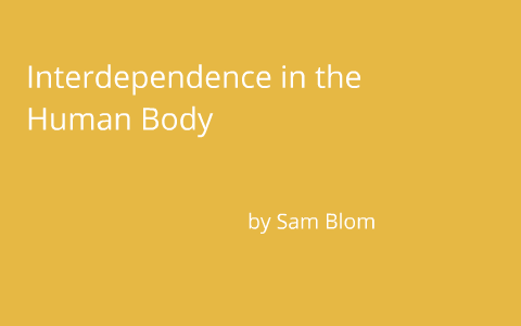 Interdependence in the Human Body by Sam Blom on Prezi