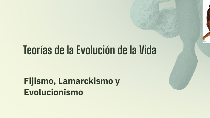 Teorías de la Evolución de la Vida by kjlasjalksd asdasdad on Prezi