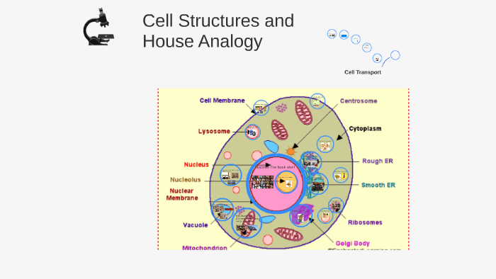 Cell Structure and House Analogy by Jonathan Jean-Louis on Prezi