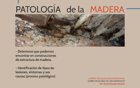 PATOLOGÍA DE LA MADERA by clam propiedades on Prezi