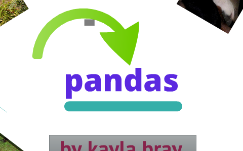 practice by kayla bray on Prezi