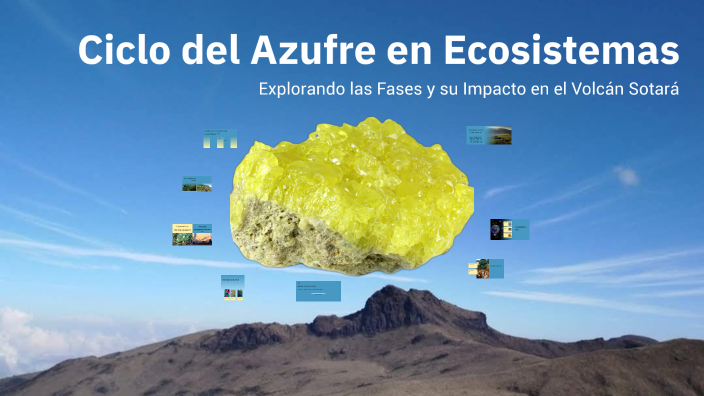 Ciclo del Azufre en Ecosistemas by Dayana Ordoñez on Prezi