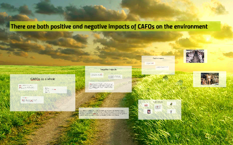 There are both positive and negative impacts of CAFOs on the by Alyssa ...