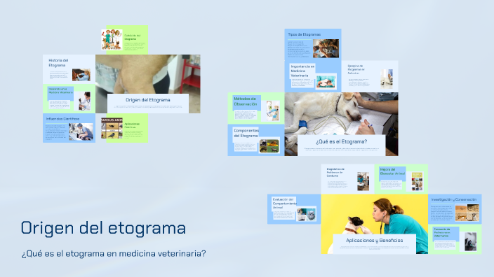 Origen del etograma by domenica caiza on Prezi