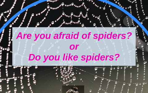 are you afraid of spiders? by lea baker on Prezi