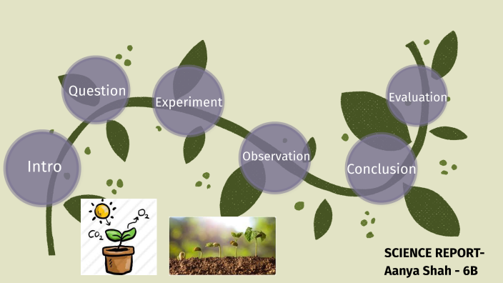 Science Report- Germination and Photosynthesis by Aanya Shah on Prezi