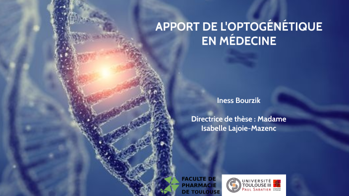 Apport de l'Optogénétique en médecine by iness bourzik on Prezi