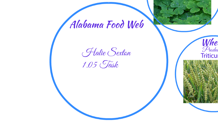 Alabama Food Web by Halie Sexton on Prezi