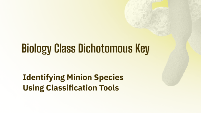 Biology Class Dichotomous Key by Hayden Baertsoen on Prezi