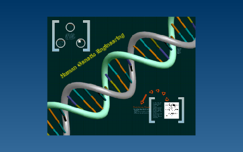 Genetic Engineering on Humans by Dorian Cheff on Prezi