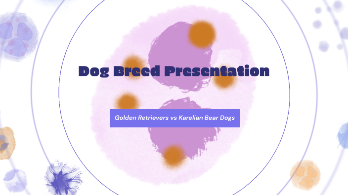 Dog Breed Presentation by Brittany Portnova on Prezi