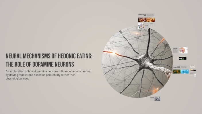 Neural Mechanisms of Hedonic Eating: The Role of Dopamine Neurons by ...