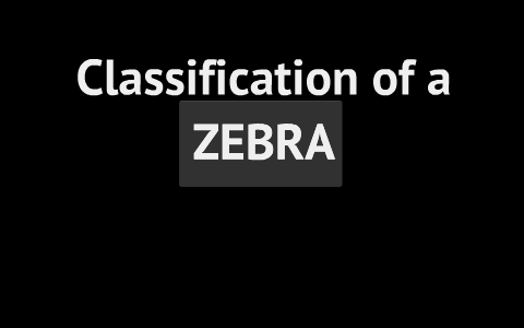 Classification of a Zebra by Laura Hitt on Prezi