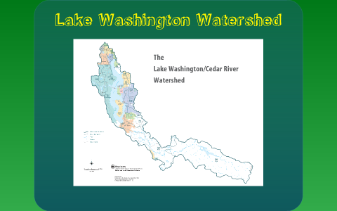 Lake Washington Watershed by Alicia Bybee on Prezi