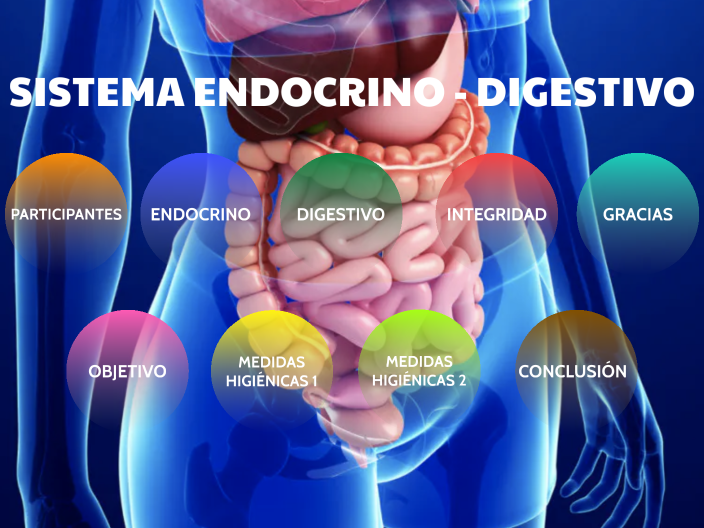 s digestivo- endocrino by Nino Mohamed on Prezi
