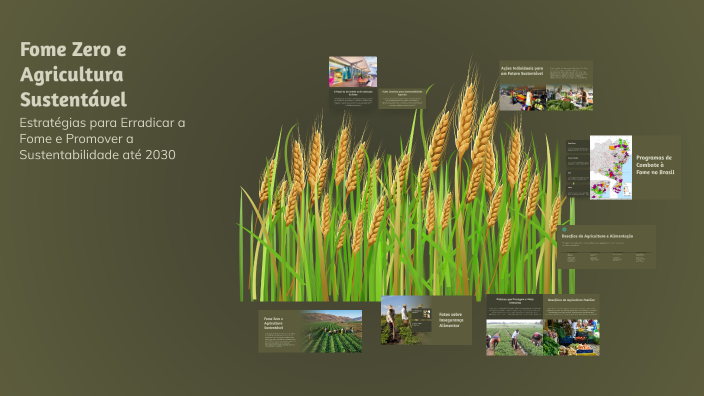 Fome Zero e Agricultura Sustentável by Alexandre Kumm on Prezi