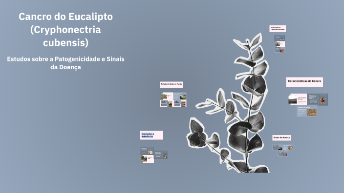 Cancro do Eucalipto (Cryphonectria cubensis) by pedro lucas on Prezi