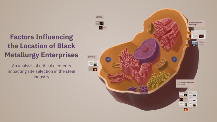 Factors Influencing the Location of Black Metallurgy Enterprises by ...