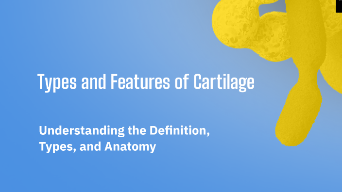 Types and Features of Cartilage by Clinical Physiotherapist ...