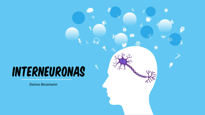 Interneuronas by Danna Recamann on Prezi