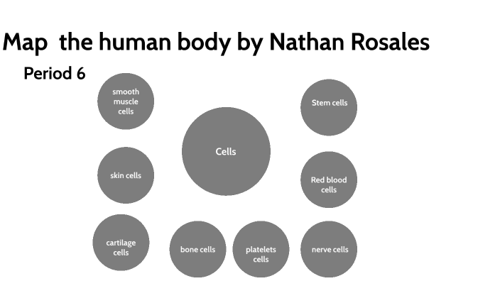 Map the human body by by NATHAN ROSALES on Prezi
