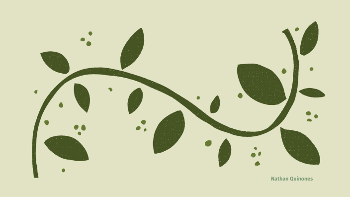 Family Tree by Nathan Quinones on Prezi