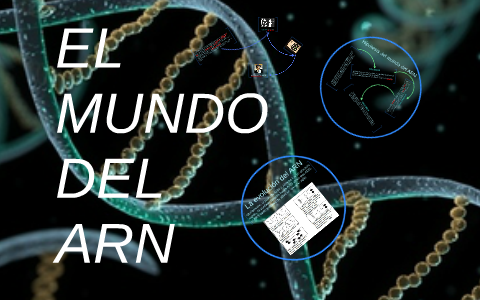 El mundo del ARN by macrogrupo cmc on Prezi