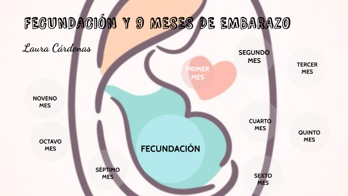 FECUNDACION Y NUEVE MESES DE EMBARAZO by Laura Cardenas on Prezi