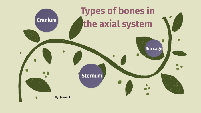 Types of bones in the axial system by Jenna Robertson on Prezi