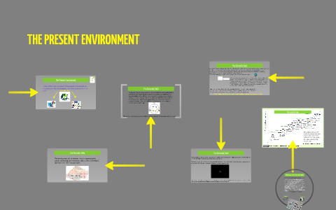 The Present Environment by Caitlyn Nellaney on Prezi