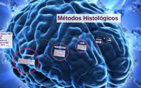 REGRISTRO CON MACROELECTRODOS by sandra agaton on Prezi