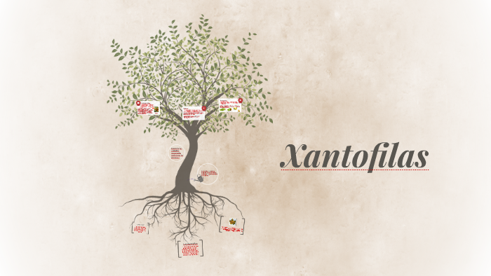 Xantofilas by Jrge Izaguirre on Prezi
